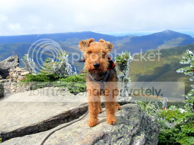High ridge pemi traverse | New England & New York Backcountry & Hiking ...