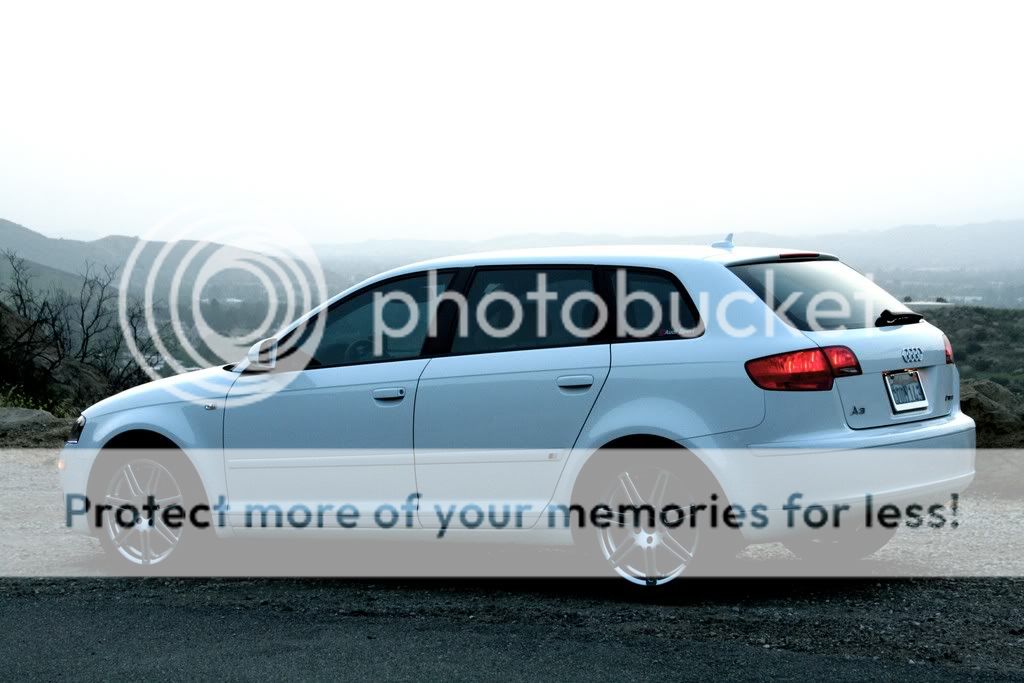 profile pix of ibis car with 30-40% tint? | VW Vortex - Volkswagen Forum