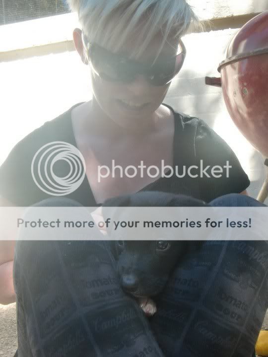 Elbie loves cuddles, so if there's a lap or a leg in reach, he will ...