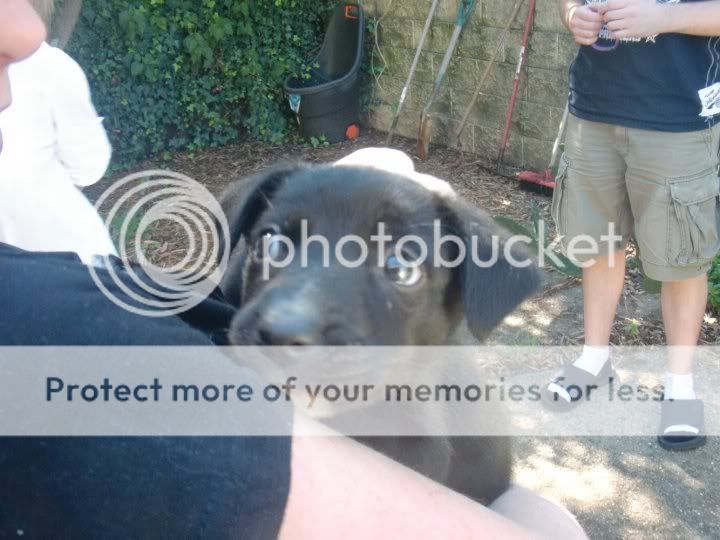 Hard to imagine that this is the thing making our nights such hell with ...